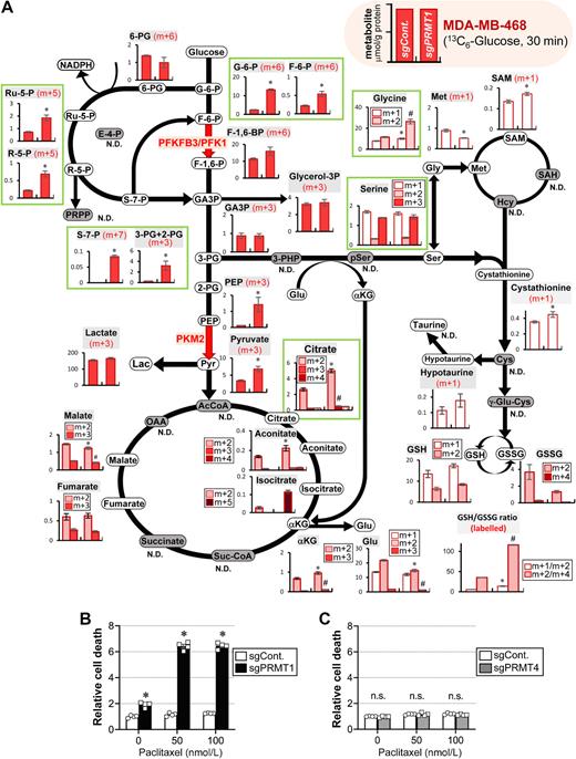 PRMT1 Sustains De Novo Fatty Acid Synthesis by Methylating PHGDH to ...