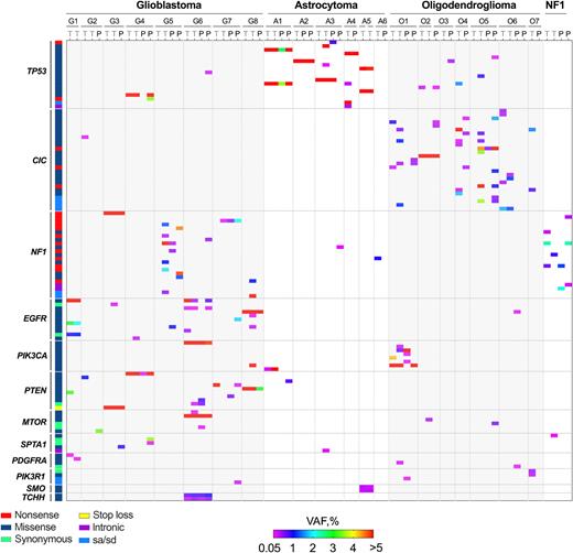 Subclonal Cancer Driver Mutations Are Prevalent in the Unresected ...