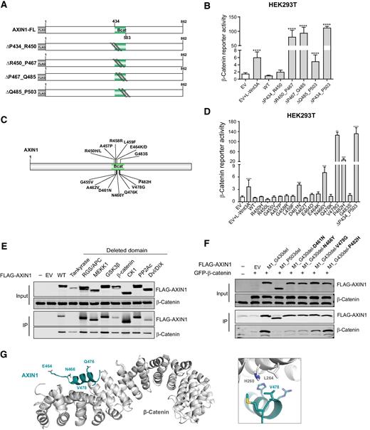 Analysis of Tumor-Associated AXIN1 Missense Mutations Identifies Variants That Activate β ...
