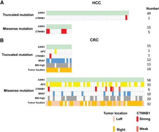 Analysis of Tumor-Associated AXIN1 Missense Mutations Identifies Variants That Activate β ...