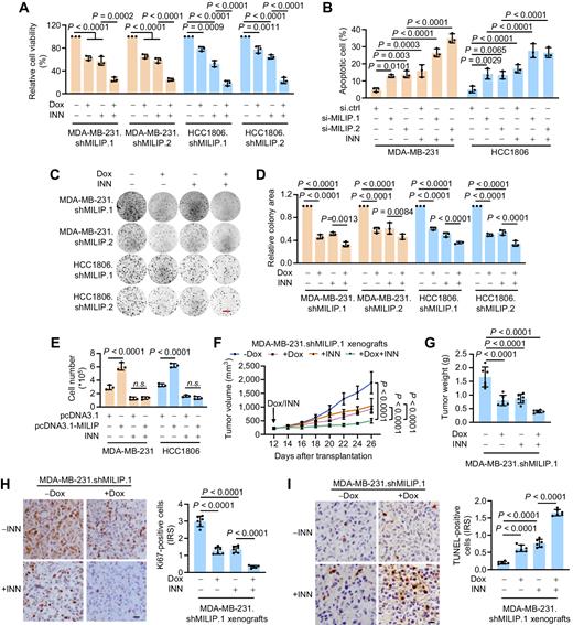 MILIP Binding to tRNAs Promotes Protein Synthesis to Drive Triple ...