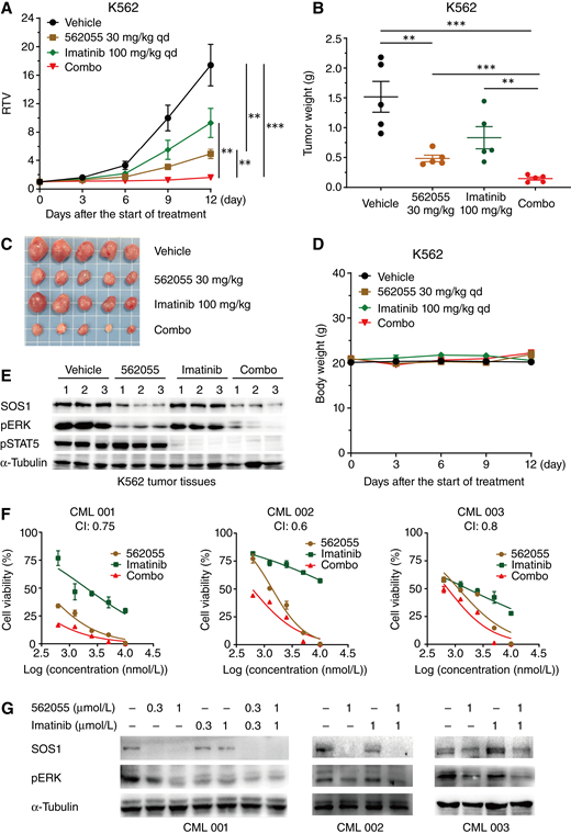 Targeted Degradation of SOS1 Exhibits Potent Anticancer Activity and ...