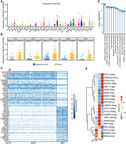 Pan-Cancer Analyses Refine the Single-Cell Portrait of Tumor ...