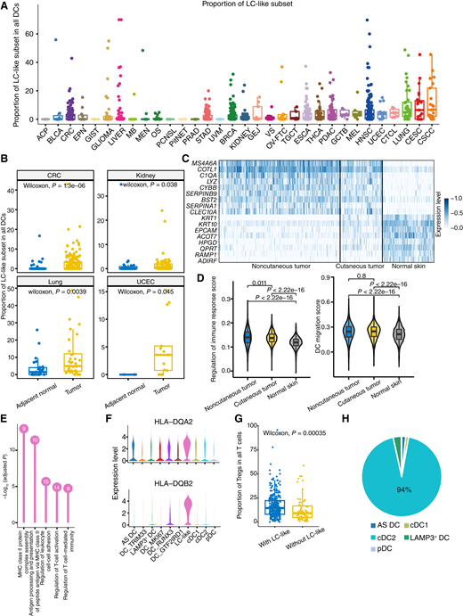 Pan-Cancer Analyses Refine the Single-Cell Portrait of Tumor ...