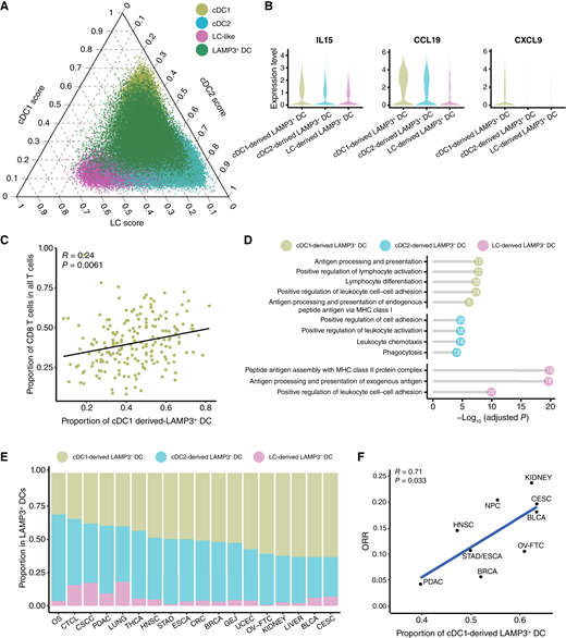 Pan-Cancer Analyses Refine the Single-Cell Portrait of Tumor ...