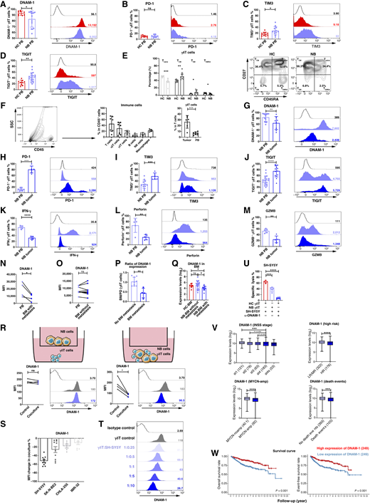 Spatial and Single-Cell Analyses Reveal Heterogeneity of DNAM-1 Receptor–Ligand Interactions ...