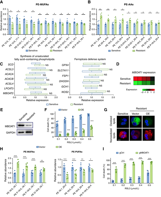 Ferroptotic Neutrophils Induce Immunosuppression and Chemoresistance in Breast Cancer | Cancer ...