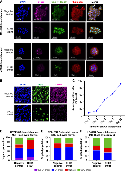 A Potent, Selective, Small-Molecule Inhibitor of DHX9 Abrogates ...