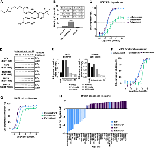 Imlunestrant Is an Oral, Brain-Penetrant Selective Estrogen Receptor ...