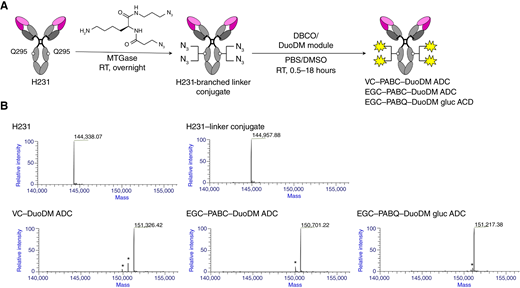 Antibody–Drug Conjugates Targeting the EGFR Ligand Epiregulin Elicit ...