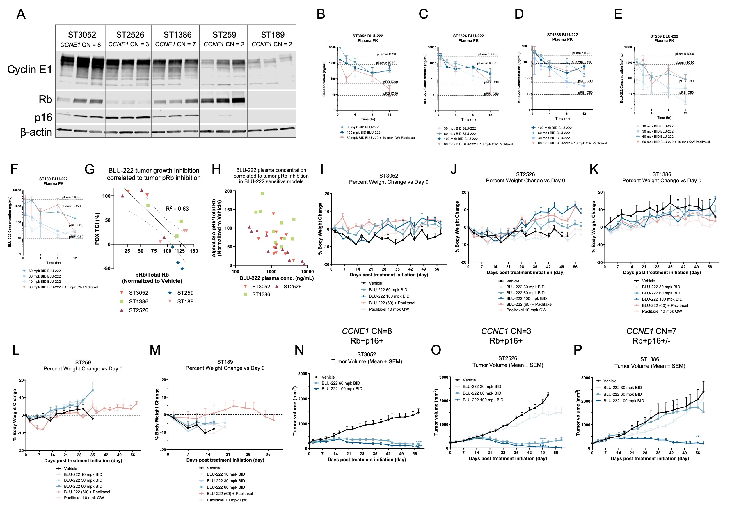 Profiling the Activity of the Potent and Highly Selective CDK2 Inhibitor BLU-222 Reveals ...