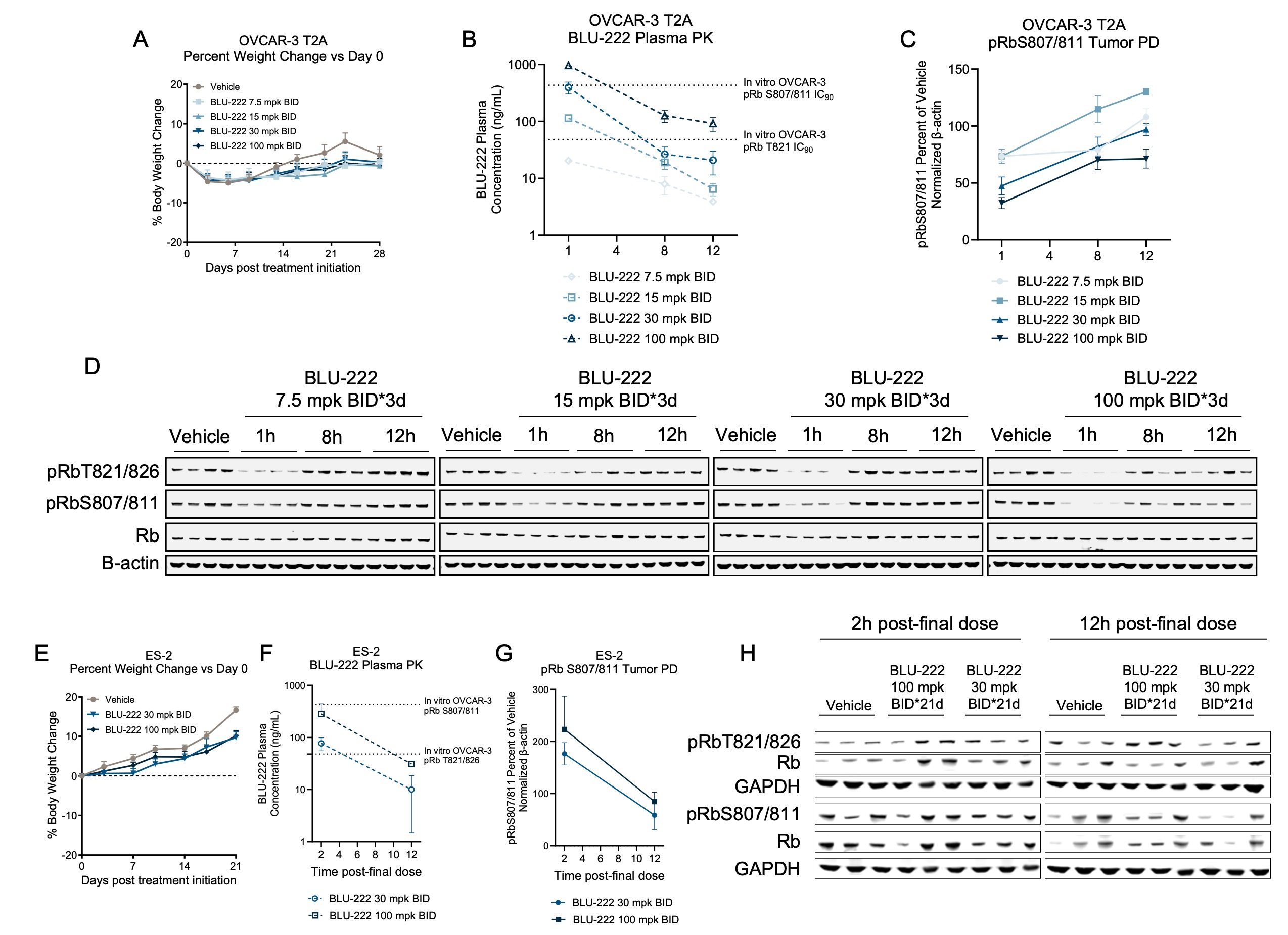 Profiling the Activity of the Potent and Highly Selective CDK2 ...
