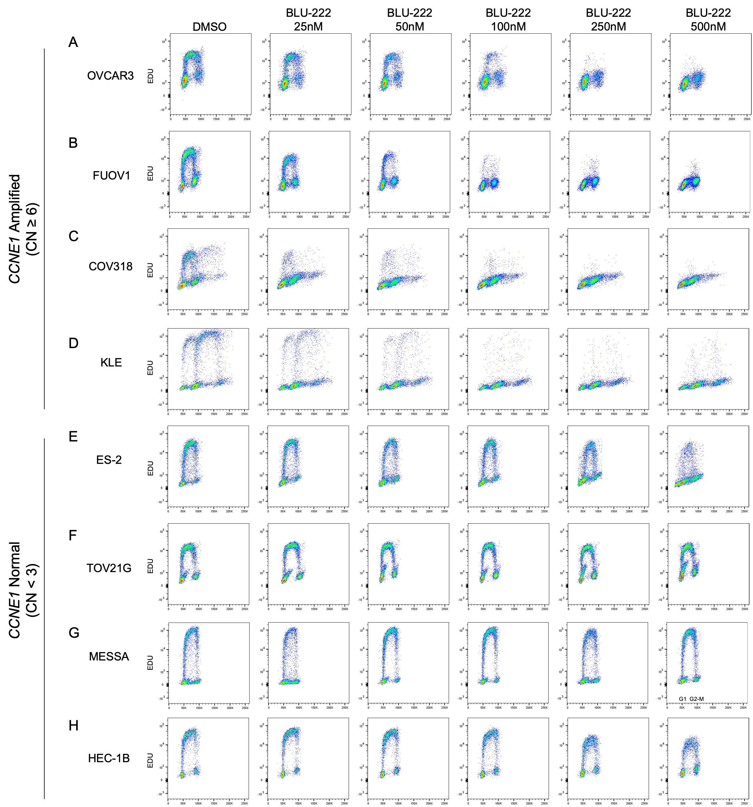 Profiling the Activity of the Potent and Highly Selective CDK2 ...