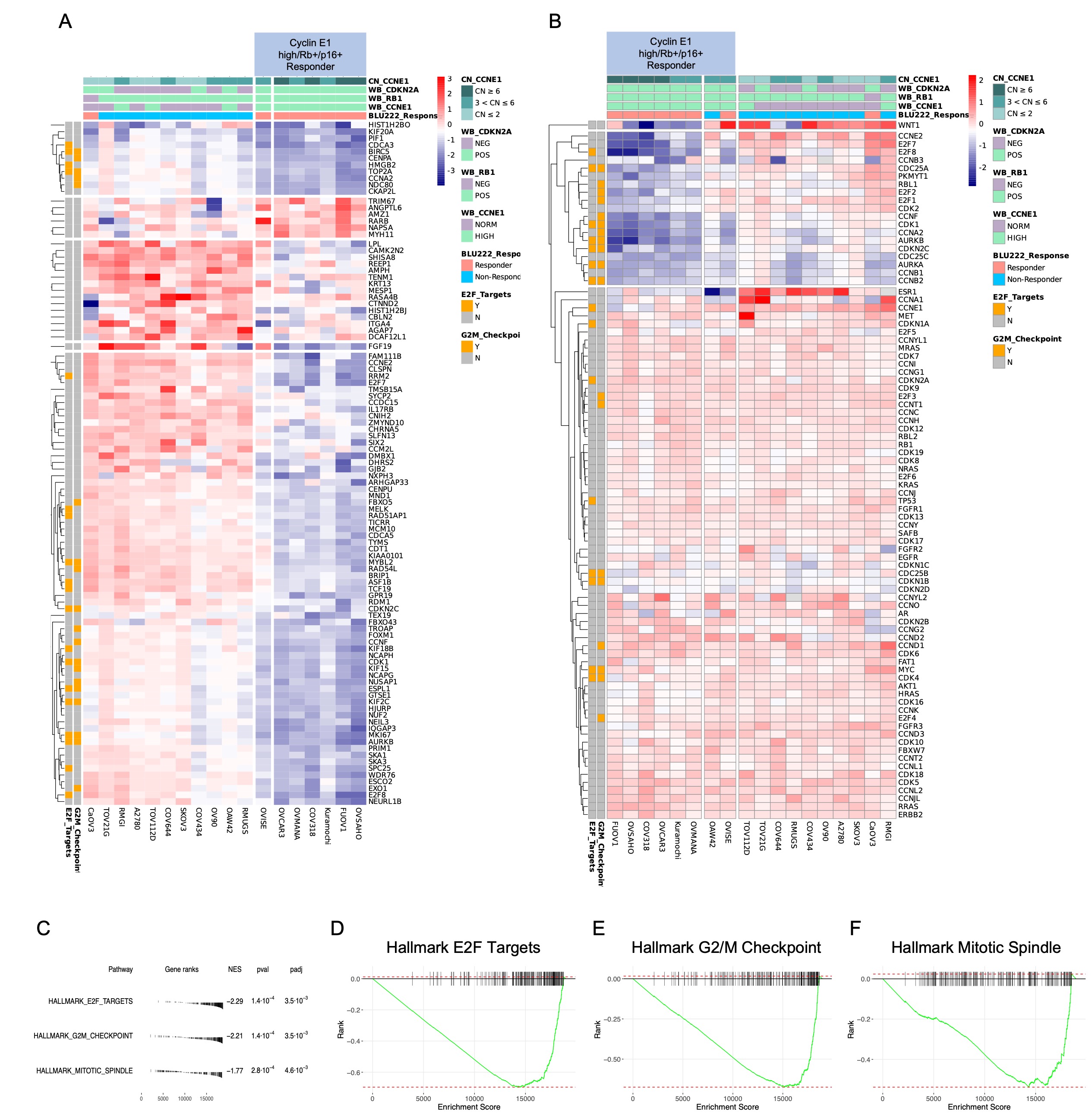 Profiling the Activity of the Potent and Highly Selective CDK2 Inhibitor BLU-222 Reveals ...
