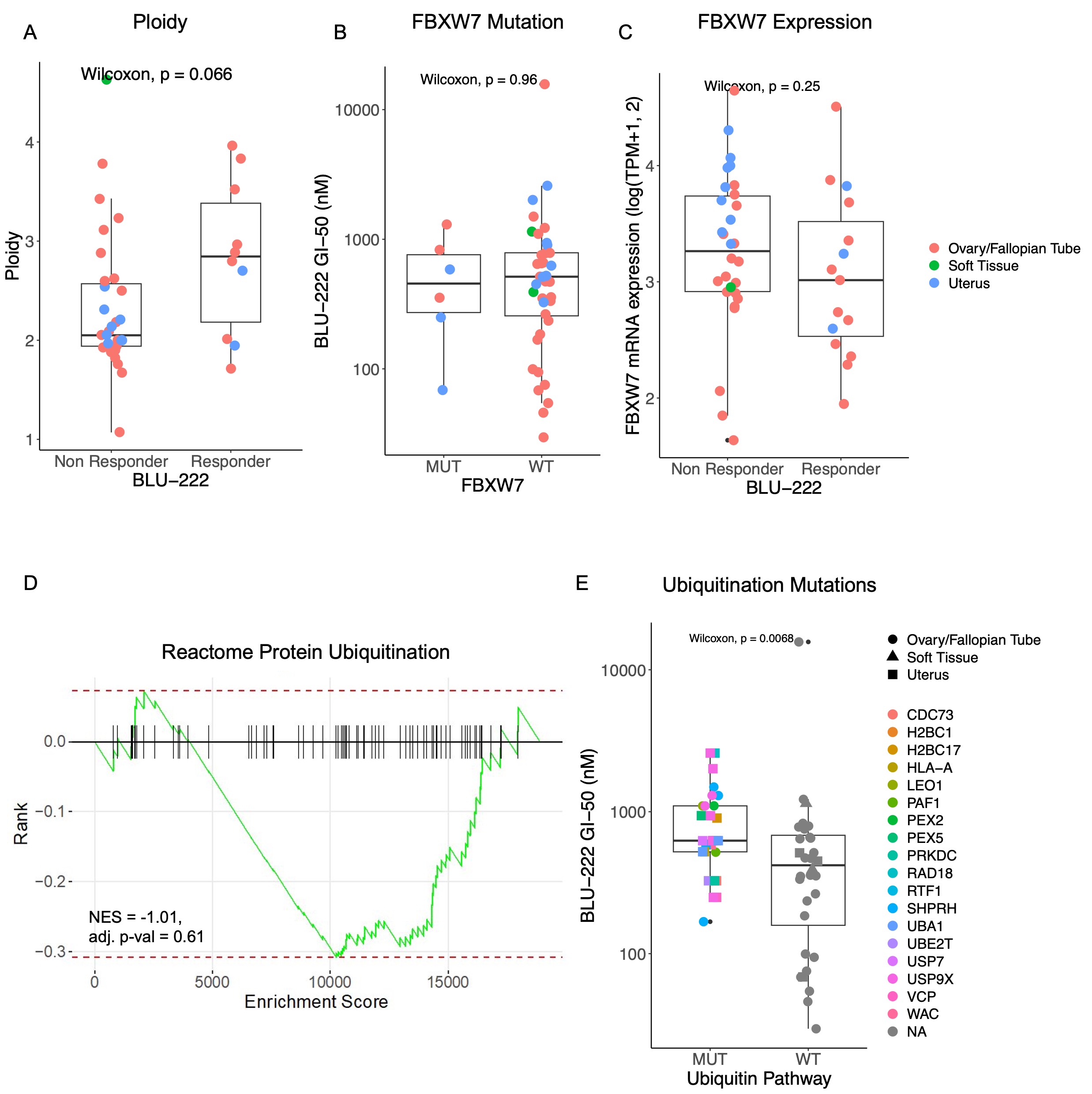 Profiling the Activity of the Potent and Highly Selective CDK2 Inhibitor BLU-222 Reveals ...