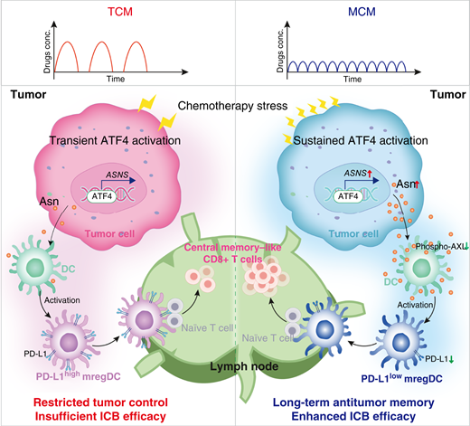 Metronomic Chemotherapy Induces Metabolic Reprogramming in Cancer Cells ...
