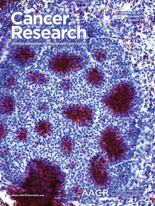 Discovery of IDO1 Inhibitors: From Bench to Bedside | Cancer Research ...