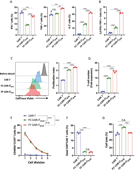 Rejuvenating Effector/Exhausted CAR T Cells to Stem Cell Memory–Like CAR T Cells By Resting Them ...