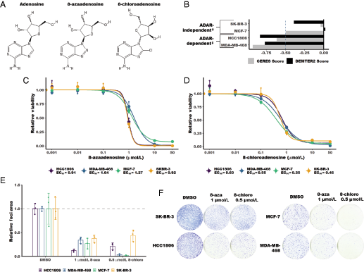 8-Azaadenosine and 8-Chloroadenosine are not Selective Inhibitors of ...