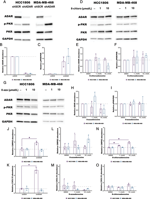 8-Azaadenosine and 8-Chloroadenosine are not Selective Inhibitors of ...