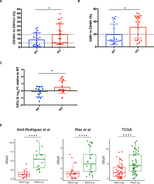 Remodeling of the Tumor Microenvironment Through PAK4 Inhibition ...