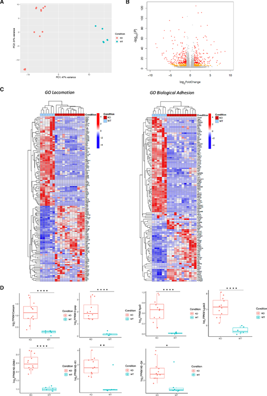 Remodeling of the Tumor Microenvironment Through PAK4 Inhibition ...