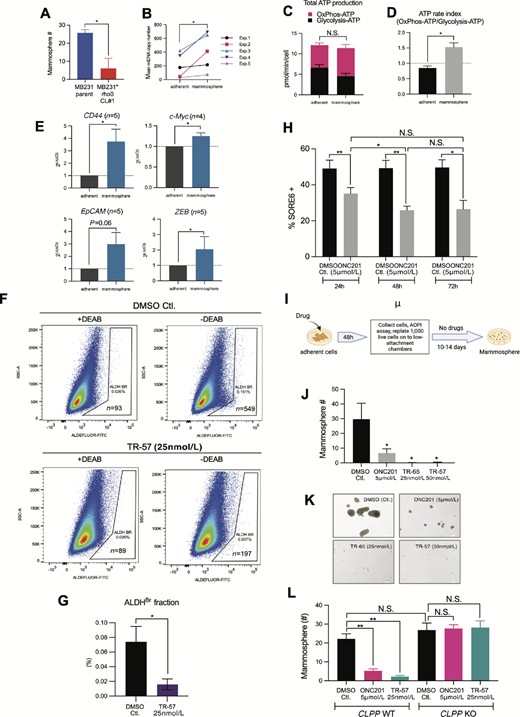 Mitochondrial Matrix Protease ClpP Agonists Inhibit Cancer Stem Cell ...