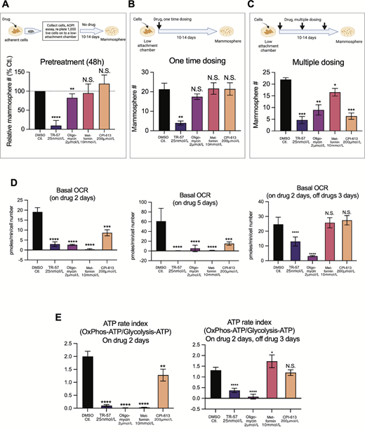 Mitochondrial Matrix Protease ClpP Agonists Inhibit Cancer Stem Cell ...