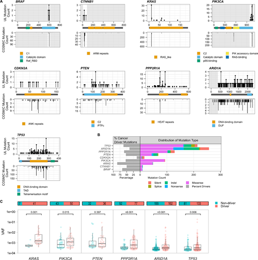 Uterine Lavage Identifies Cancer Mutations and Increased TP53 Somatic ...