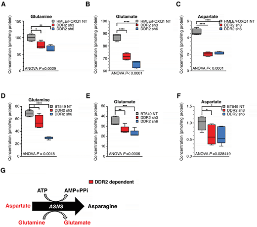 DDR2 Coordinates EMT and Metabolic Reprogramming as a Shared Effector ...