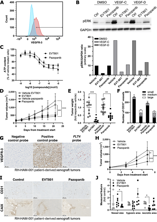 Targeting Tumor Angiogenesis with the Selective VEGFR-3 Inhibitor ...