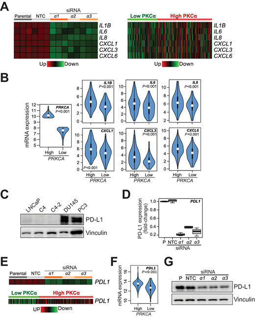 Protein Kinase C Alpha is a Central Node for Tumorigenic ...