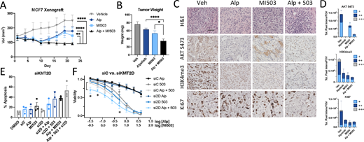 Targeting MLL Methyltransferases Enhances the Antitumor Effects of PI3K ...