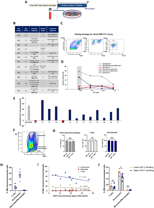 Allogeneic Anti-BCMA CAR T Cells Are Superior to Multiple Myeloma ...