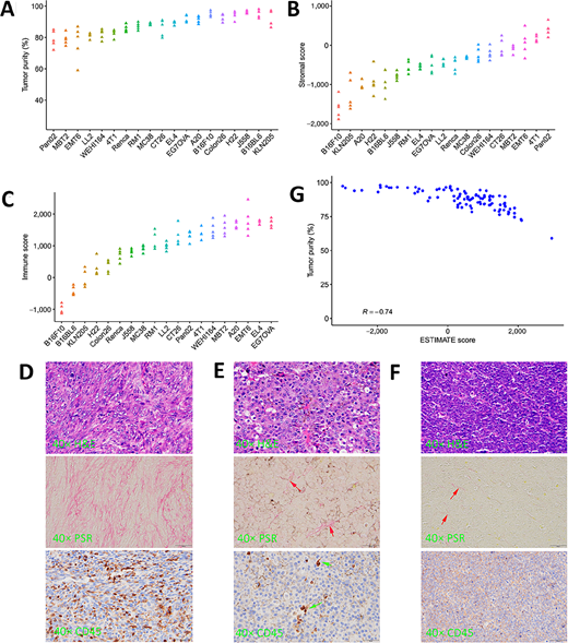 Tumor Purity in Preclinical Mouse Tumor Models | Cancer Research ...