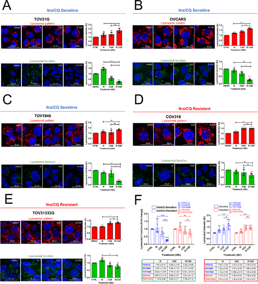 Repurposing Itraconazole and Hydroxychloroquine to Target Lysosomal ...