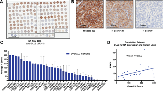 Evaluation of the DLL3-targeting Antibody–Drug Conjugate Rovalpituzumab ...