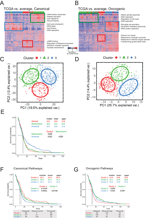 Pathway-based Approach Reveals Differential Sensitivity to E2F1 ...