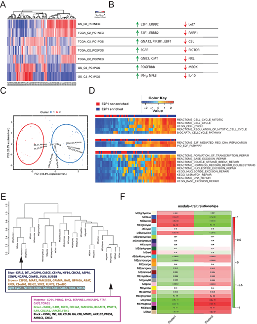 Pathway-based Approach Reveals Differential Sensitivity to E2F1 ...