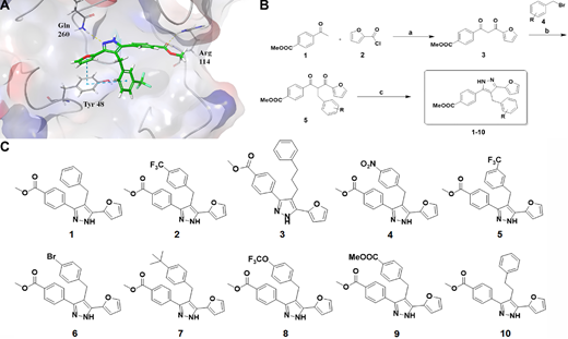 Small-molecule PTPN2 Inhibitors Sensitize Resistant Melanoma to Anti-PD ...
