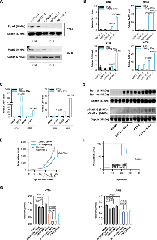 Small-molecule PTPN2 Inhibitors Sensitize Resistant Melanoma to Anti-PD ...