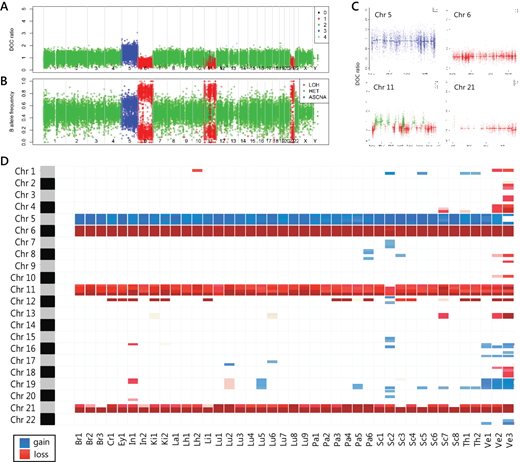 Complex Patterns of Genomic Heterogeneity Identified in 42 Tumor ...