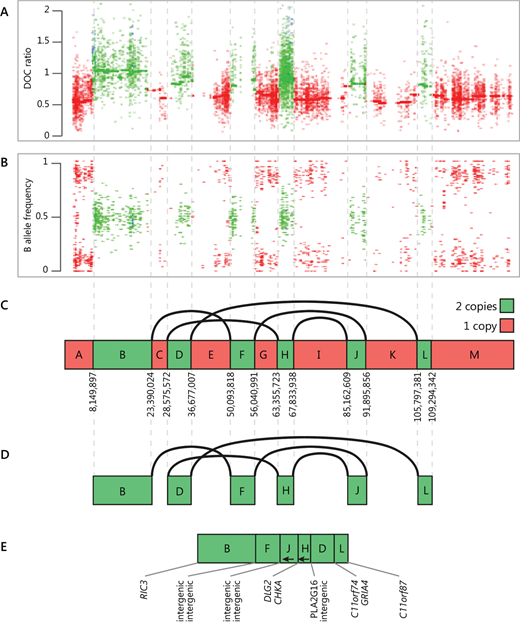Complex Patterns of Genomic Heterogeneity Identified in 42 Tumor ...