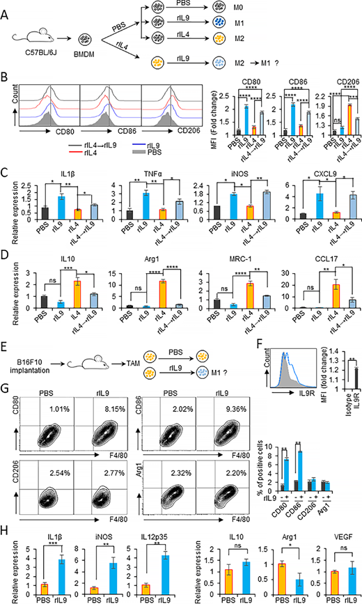 IL9 Polarizes Macrophages to M1 and Induces the Infiltration of ...