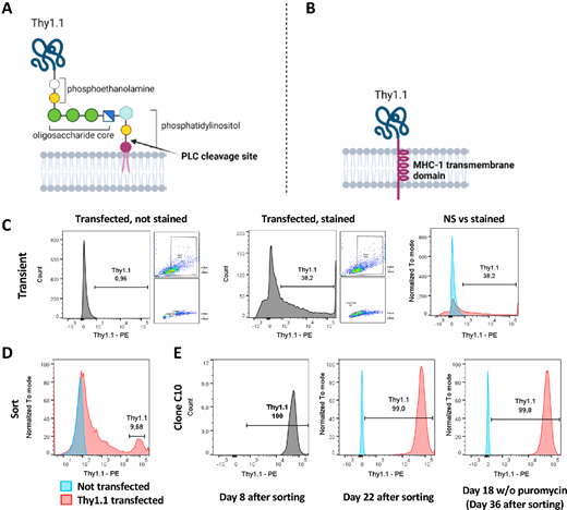 Mouse IgG2a Isotype Therapeutic Antibodies Elicit Superior Tumor Growth ...
