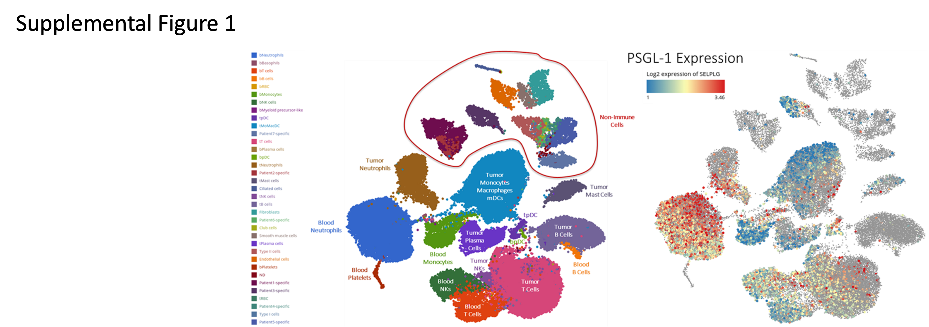 PSGL-1 Blockade Induces Classical Activation of Human Tumor-associated Macrophages | Cancer ...