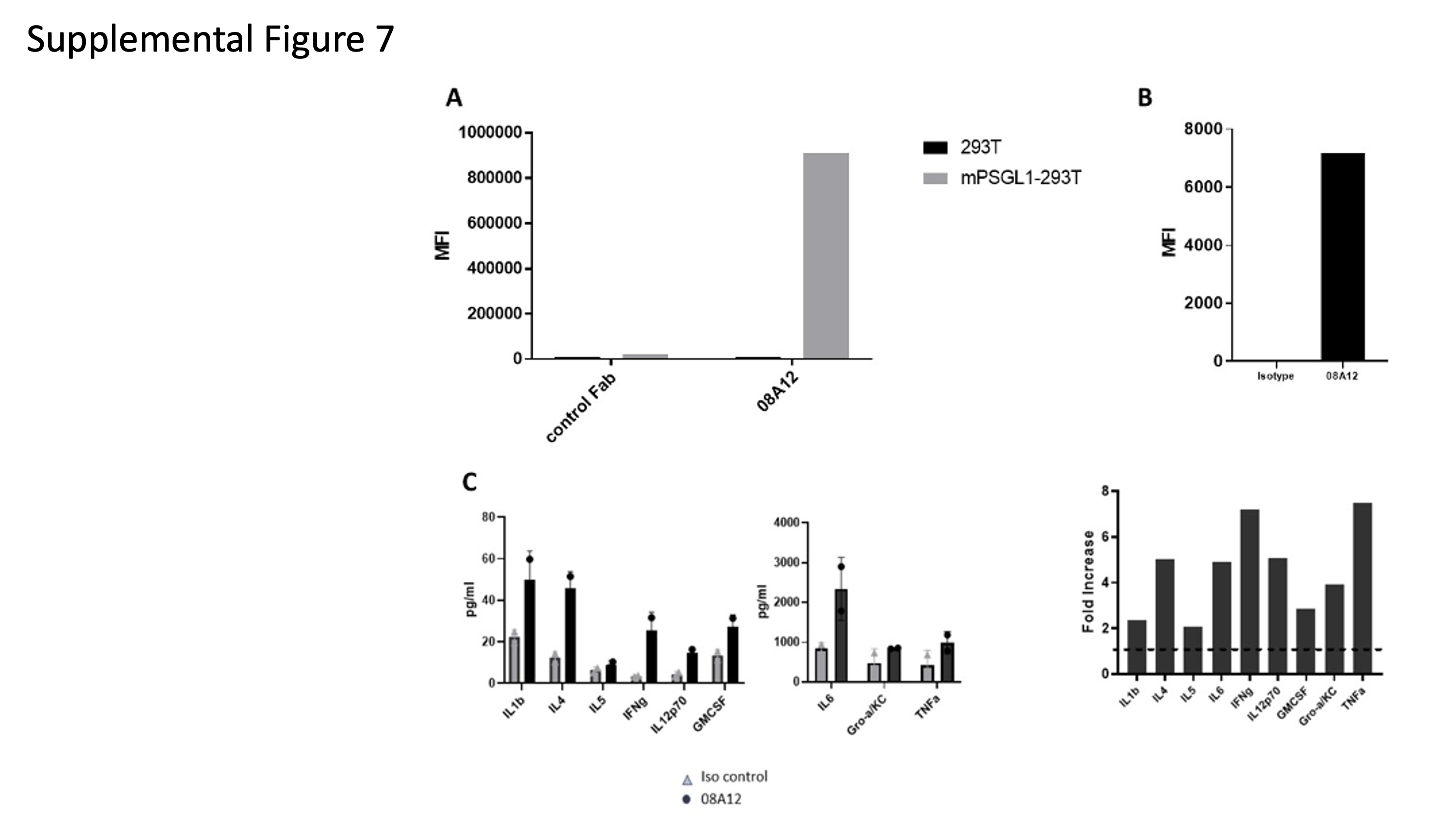 PSGL-1 Blockade Induces Classical Activation of Human Tumor-associated Macrophages | Cancer ...