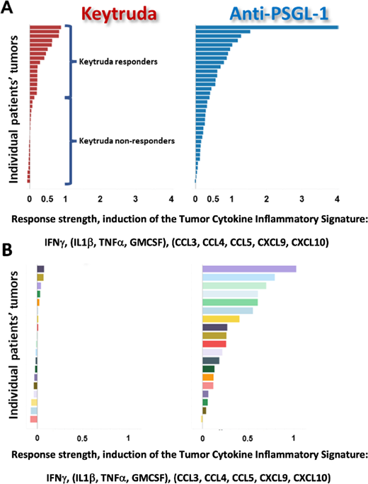 PSGL-1 Blockade Induces Classical Activation of Human Tumor-associated Macrophages | Cancer ...