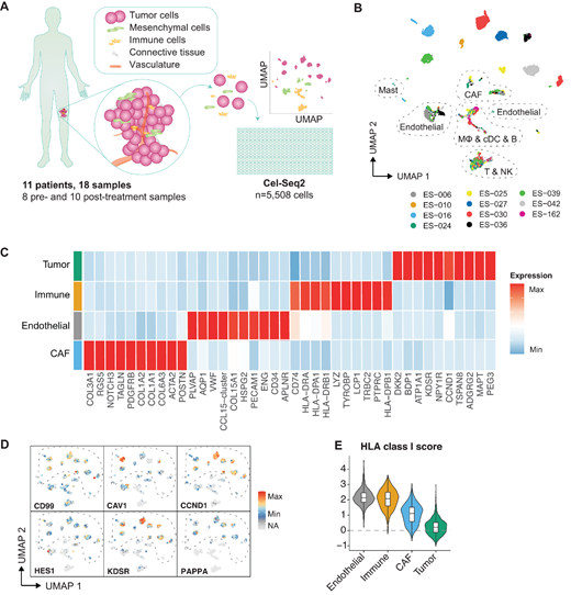 Ewing Sarcoma Single-cell Transcriptome Analysis Reveals Functionally ...