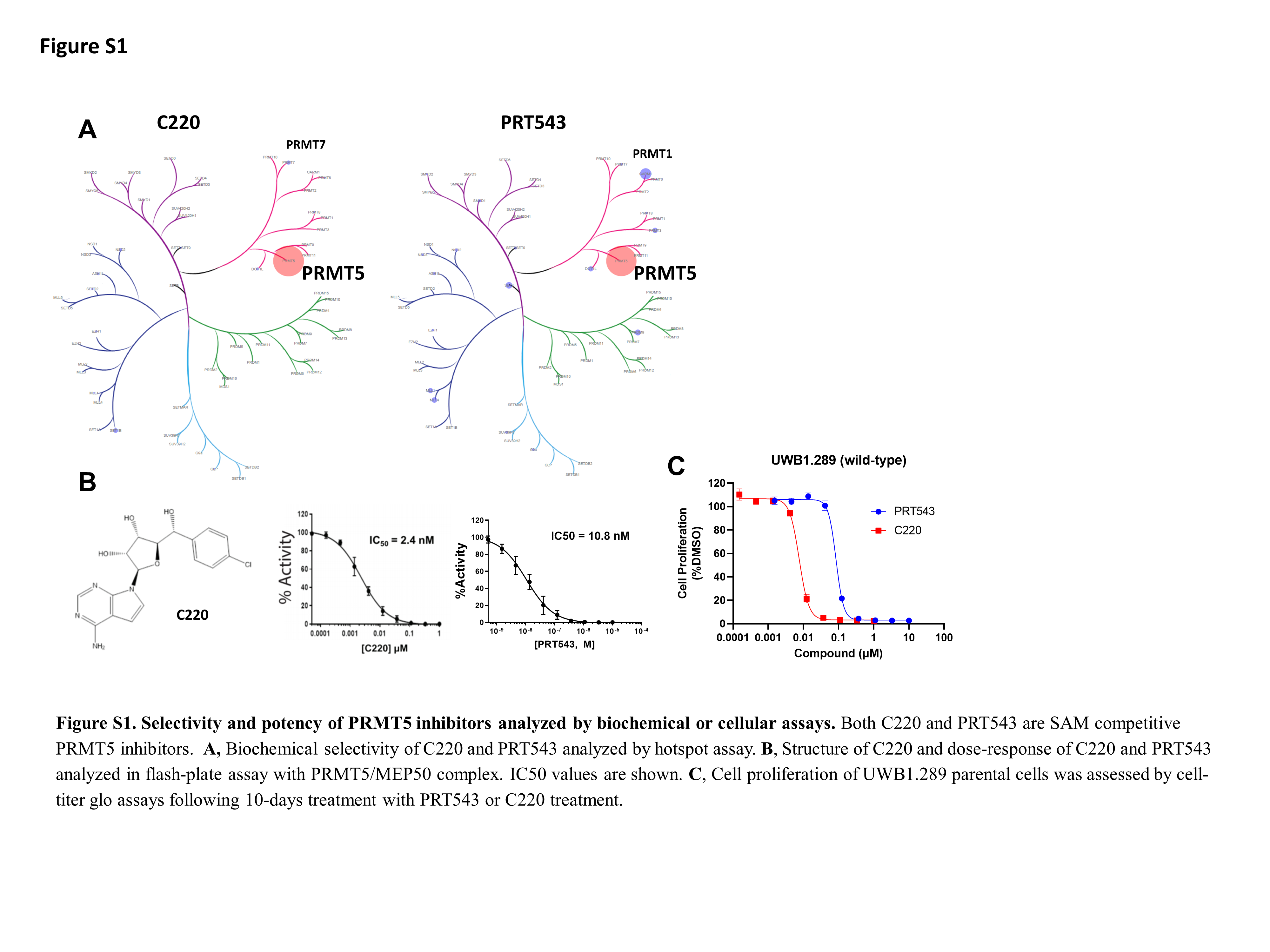PRMT5 Inhibitors Regulate DNA Damage Repair Pathways in Cancer Cells ...